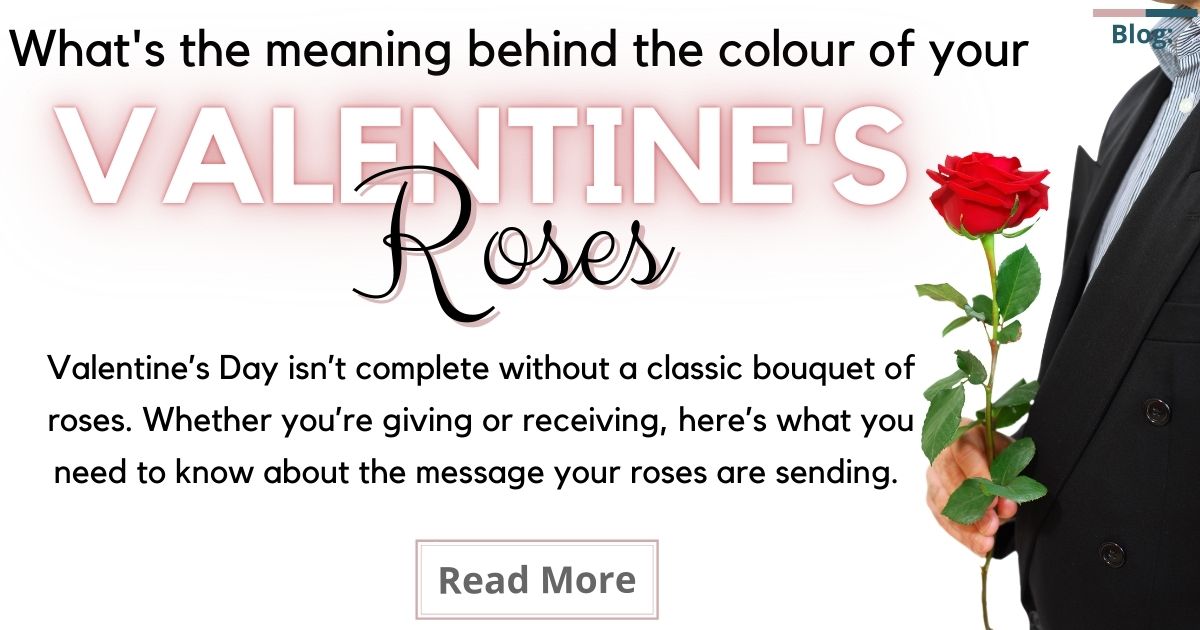 Meaning Of Your Valentine’s Day Roses Colour | Samanthas Flowers ft ...